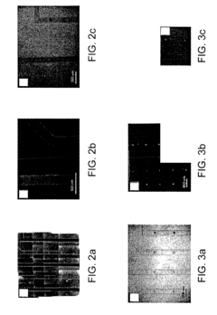 Photocrosslinkable hydrogels enabling spatial patterning of multiple cell types in a single chip