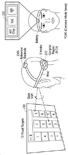 Energy Efficient Signal Processing Architectures For Embedded Brain Computer Interfaces